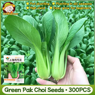 pechay seedlings Price & Voucher Oct 2024|BigGo Philippines
