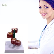 vessel model Price & Promotion-Jan 2025 | BigGo Malaysia