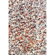 pebble wash Price & Promotion-Ogo 2025 | BigGo Malaysia