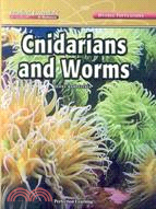 cnidarians的價格推薦 - 2025年5月 | 比價比個夠BigGo