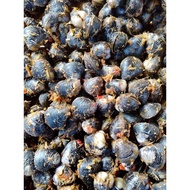 etok salai Price & Promotion-Sep 2024|BigGo Malaysia