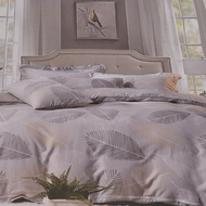 FOCA 3M的價格推薦 - 2025年6月 | 比價比個夠BigGo