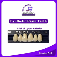 Pontic Teeth Price & Voucher May 2025 | BigGo Philippines