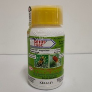 ortus Price & Promotion-Okt 2024|BigGo Malaysia