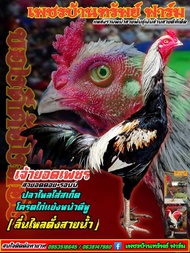 ไก่3สายเลือด ถูกที่สุด พร้อมโปรโมชั่น ม.ค. 2025 | BigGoเช็คราคาง่ายๆ