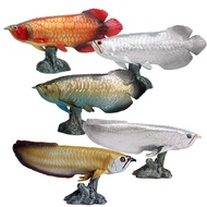 arowana fish Price & Voucher Jun 2026 | BigGo Philippines
