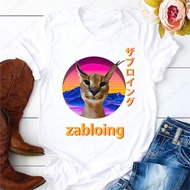 Floppa ถูกที่สุด พร้อมโปรโมชั่น มิ.ย. 2025 | BigGoเช็คราคาง่ายๆ