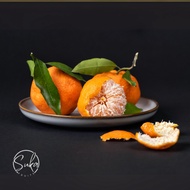 Lokam Mandarin Price & Promotion-Ogo 2025 | BigGo Malaysia