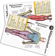 dermatomes Price & Promotions Dec 2025 | BigGo - Price Search Engine