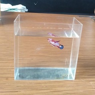 Harga solitaire akrilik Terbaru Sep 2024 |BigGo Indonesia