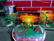 Harga Aquarium Chana Mini 15×10×10 Terbaru Feb 2026 | BigGo Indonesia