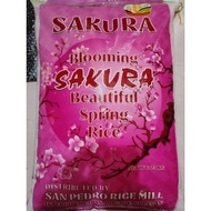 sakura rice 25kg Price & Voucher Apr 2026 | BigGo Philippines