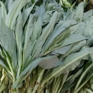 Harga fumak Terbaru Sep 2024 |BigGo Indonesia