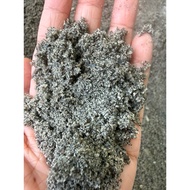 buhangin sand Price & Voucher Mar 2026 | BigGo Philippines