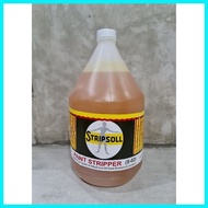 Stripsol Paint Remover Price & Voucher Apr 2026 | BigGo Philippines