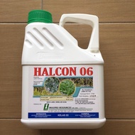 halcon Price & Promotion-Okt 2024|BigGo Malaysia