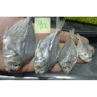 tuyo dried fish Price & Voucher Jun 2026 | BigGo Philippines