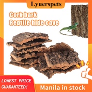 Tarantula Hide Price & Voucher Apr 2025 | BigGo Philippines