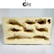 formicarium Price & Promotion-Okt 2024|BigGo Malaysia
