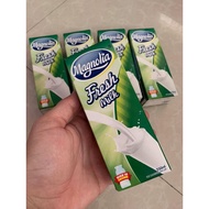 magnolia milk Price & Promotion-Mei 2026 | BigGo Malaysia
