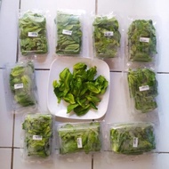 Harga ciwis Terbaru Sep 2024 |BigGo Indonesia