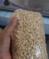 Harga jagung pulut 1 kg Terbaru Jun 2026 | BigGo Indonesia