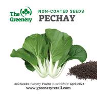 Pechay Pavito Seeds Price & Voucher Feb 2025 | BigGo Philippines