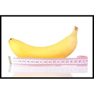 Harga dlldo Terbaru Mei 2025 | BigGo Indonesia