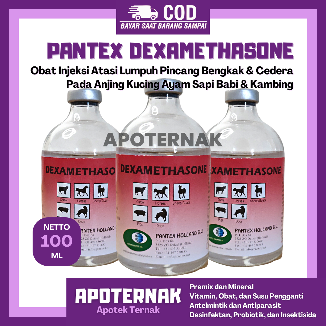 Harga Dexamethasone Terbaru Maret 2024 |BigGo Indonesia