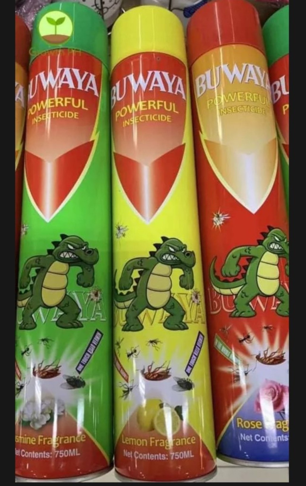 Buwaya Price & Voucher Jul 2024|BigGo Philippines