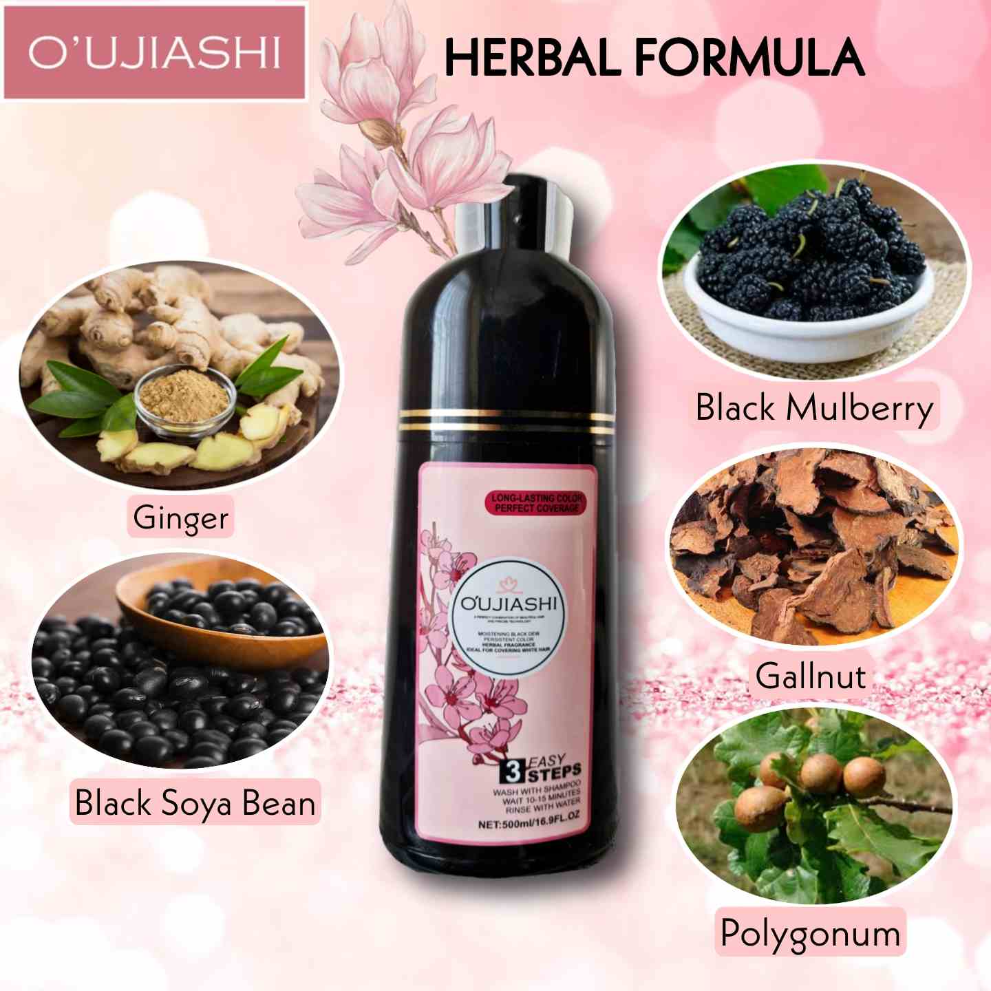 Oujiashi Price & Voucher Jun 2024|BigGo Philippines