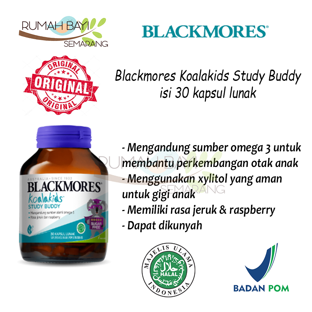 Harga Koalakids Terbaru Juli 2023 |BigGo Indonesia