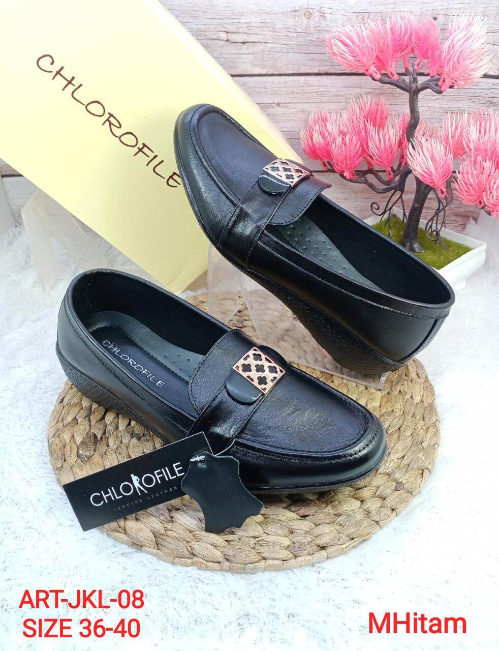 Harga Chlorofile Terbaru Juli 2023 |BigGo Indonesia