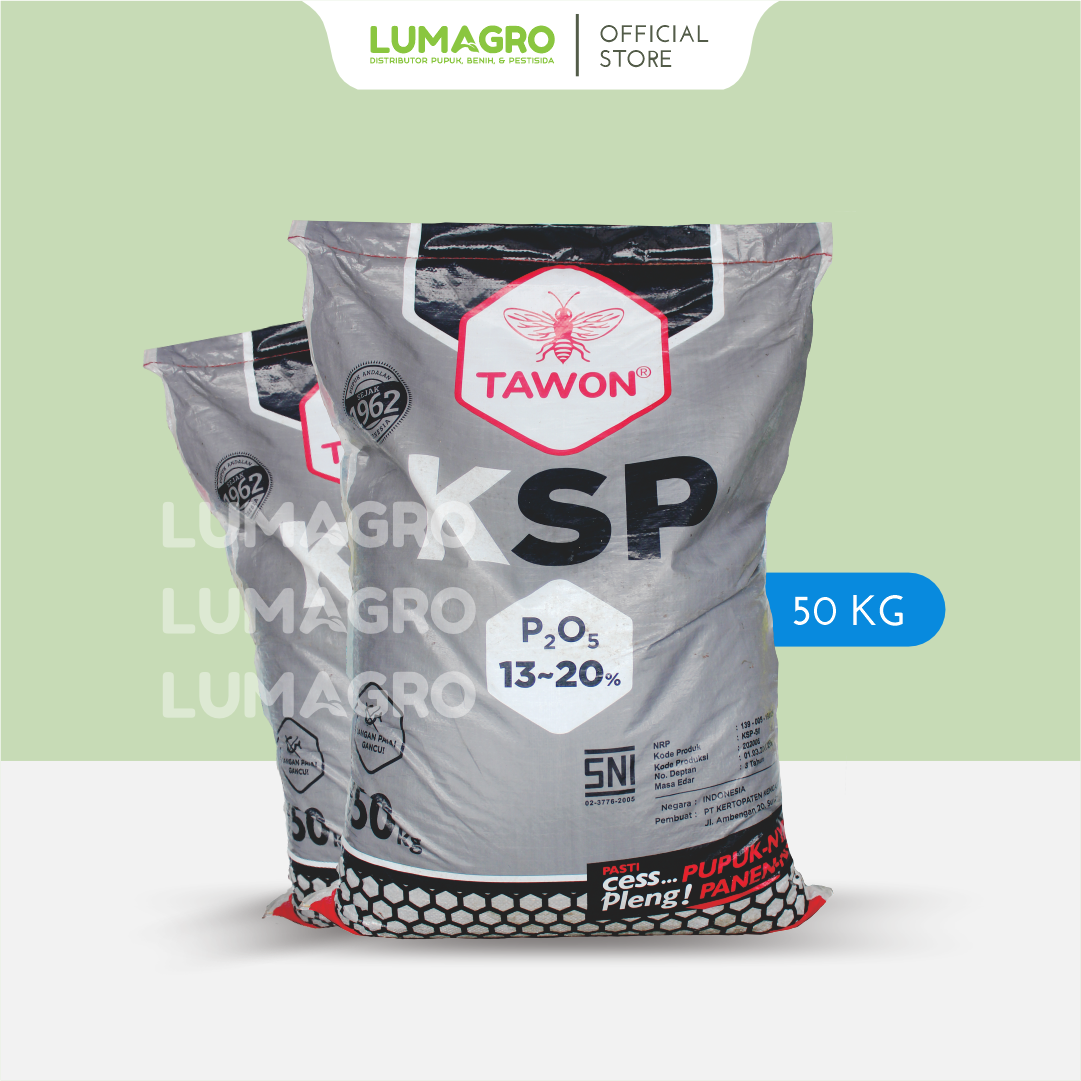 Harga Penjumlahan Terbaru Desember 2023 |BigGo Indonesia