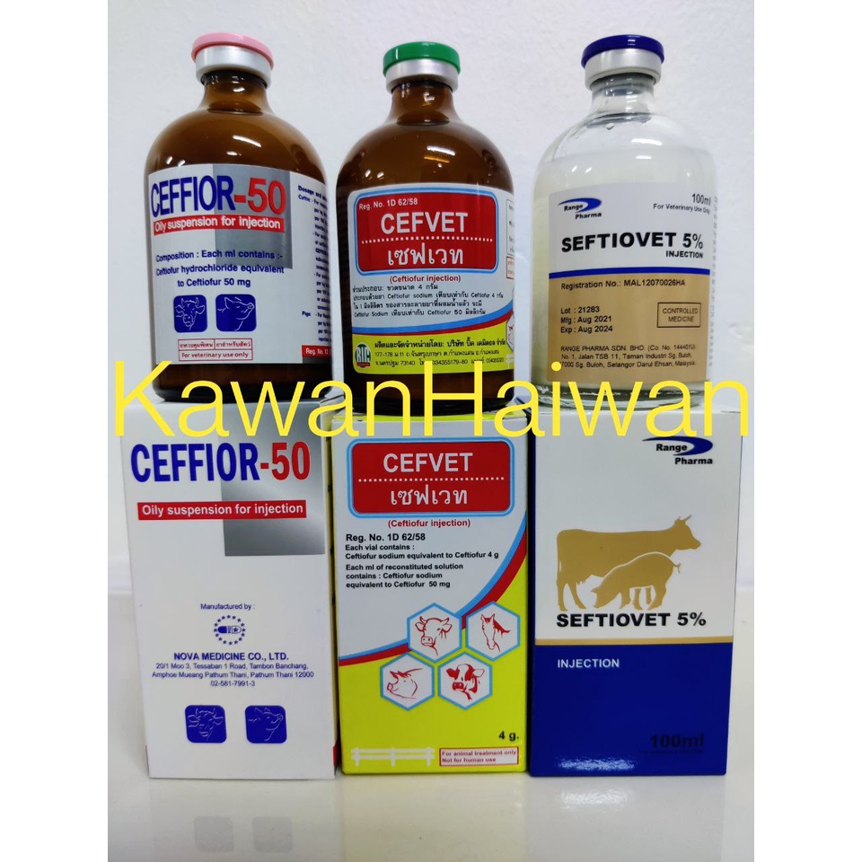 Seftiovet Price & Promotion-Mar 2023|BigGo Malaysia