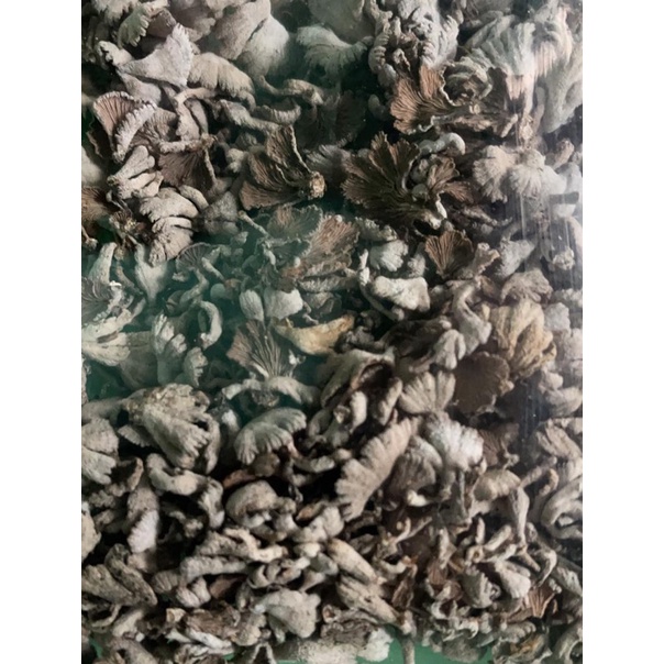 Kodop Price & Promotion-Nov 2023|BigGo Malaysia