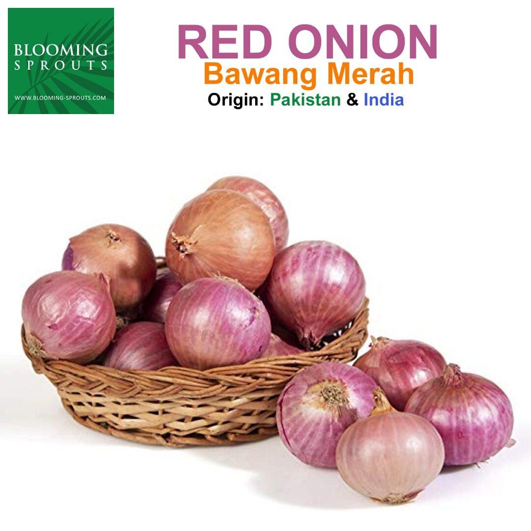 Onion Price & Promotion-Aug 2024|BigGo Malaysia