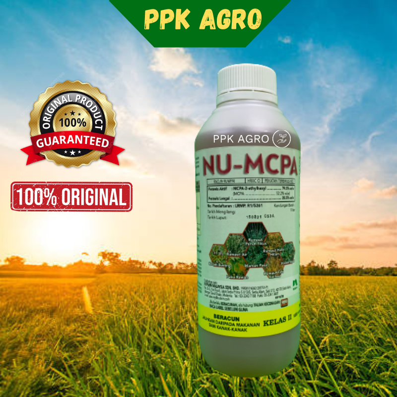 Mcpa Price & Promotion-Apr 2024|BigGo Malaysia