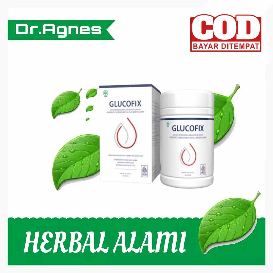 Harga Glucofix Terbaru Desember 2023 |BigGo Indonesia