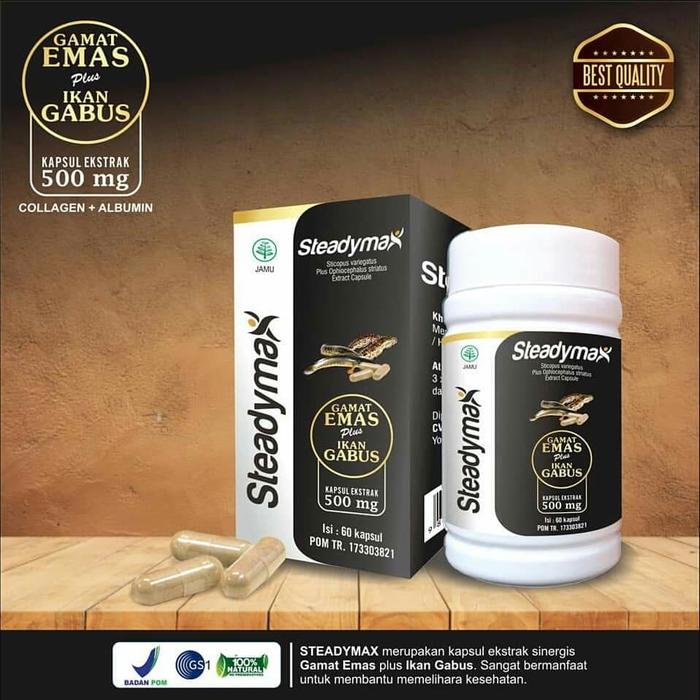 Harga Steadymax Terbaru Mei 2024 |BigGo Indonesia