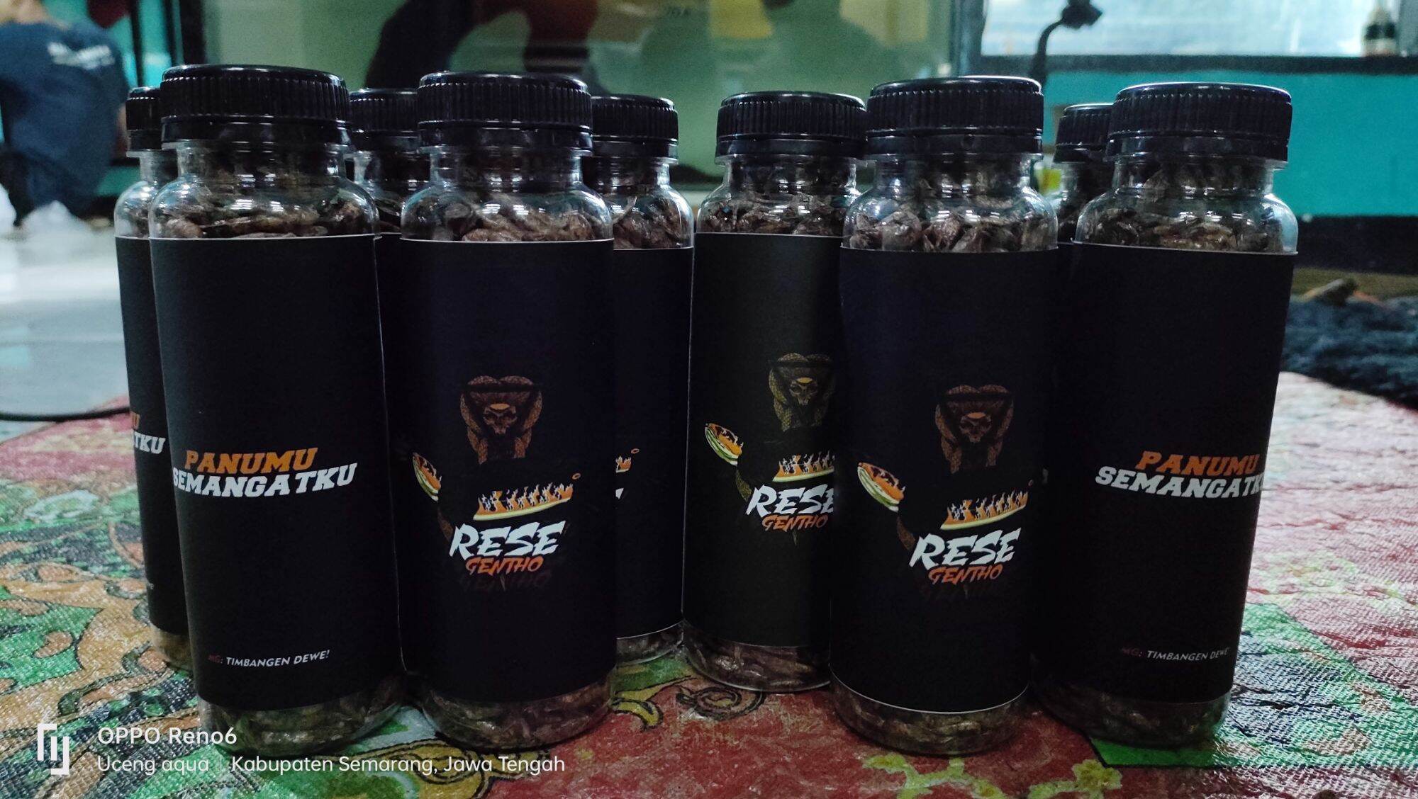 Harga Tobil Terbaru Agustus 2023 |BigGo Indonesia