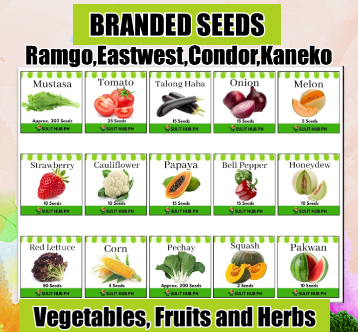 Rosemary Price & Voucher Aug 2024|BigGo Philippines