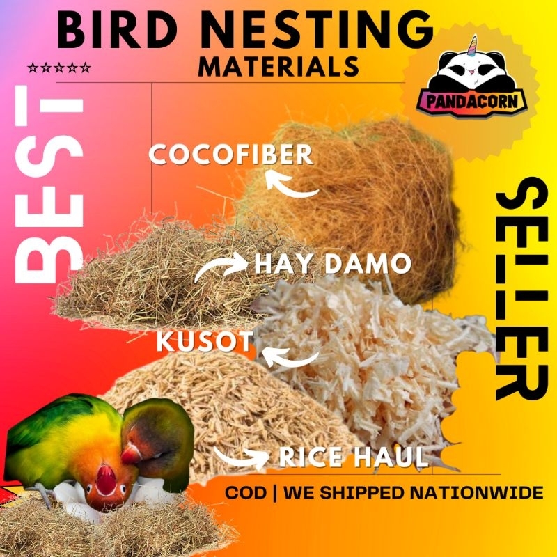 Dayami Price & Voucher Feb 2024|BigGo Philippines