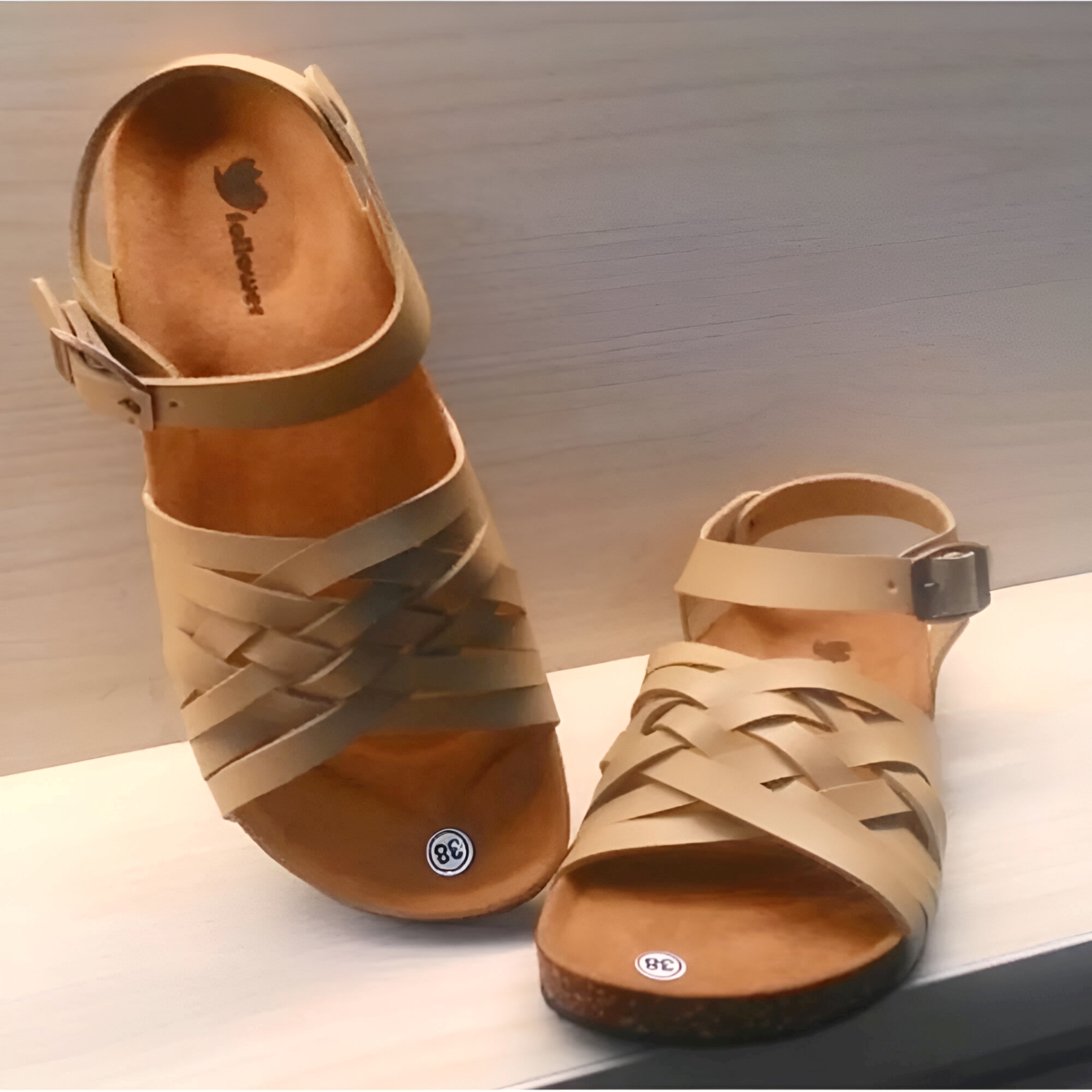 Harga Teplek Terbaru Oktober 2023 |BigGo Indonesia