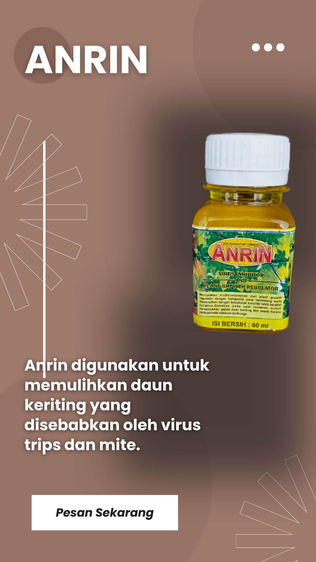 Harga Anrin Terbaru Juli 2024 |BigGo Indonesia