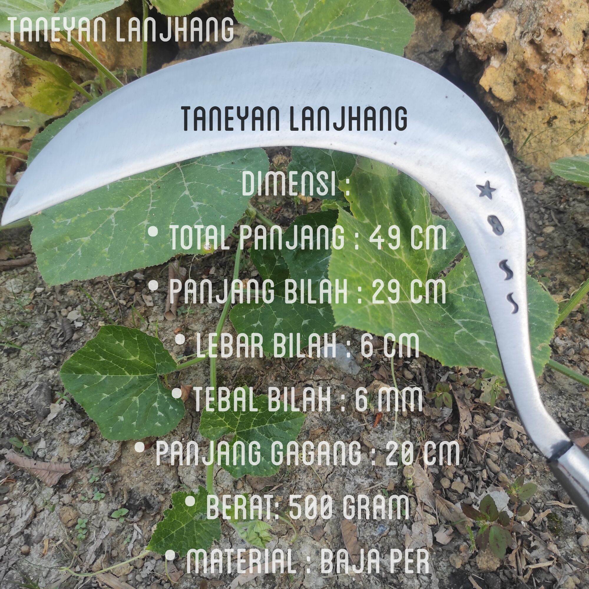 Harga Arit Terbaru Juni 2024 |BigGo Indonesia