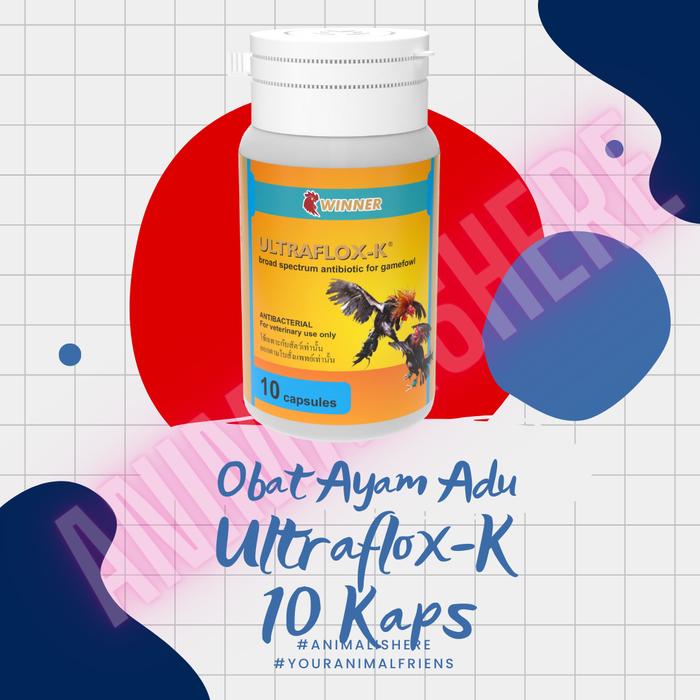 Harga Ultraflox Terbaru Desember 2023 |BigGo Indonesia