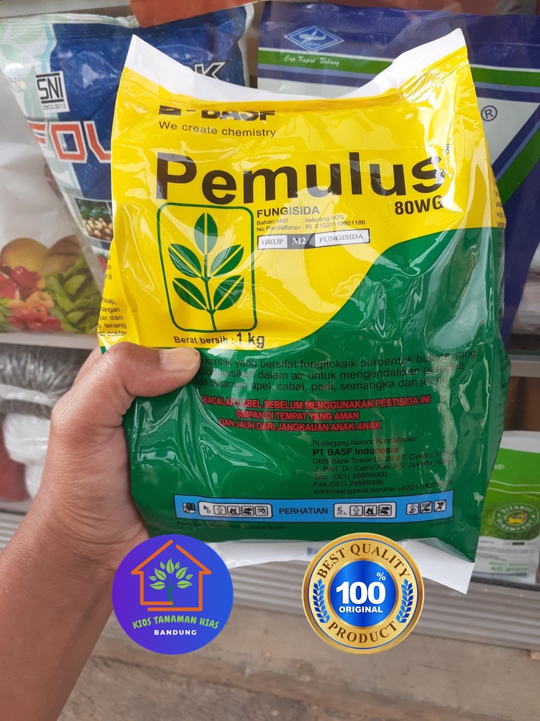 Harga Basf Terbaru April 2024 |BigGo Indonesia