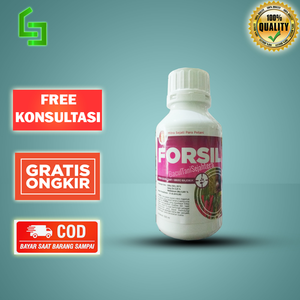 Harga Forsil Terbaru Agustus 2023 |BigGo Indonesia