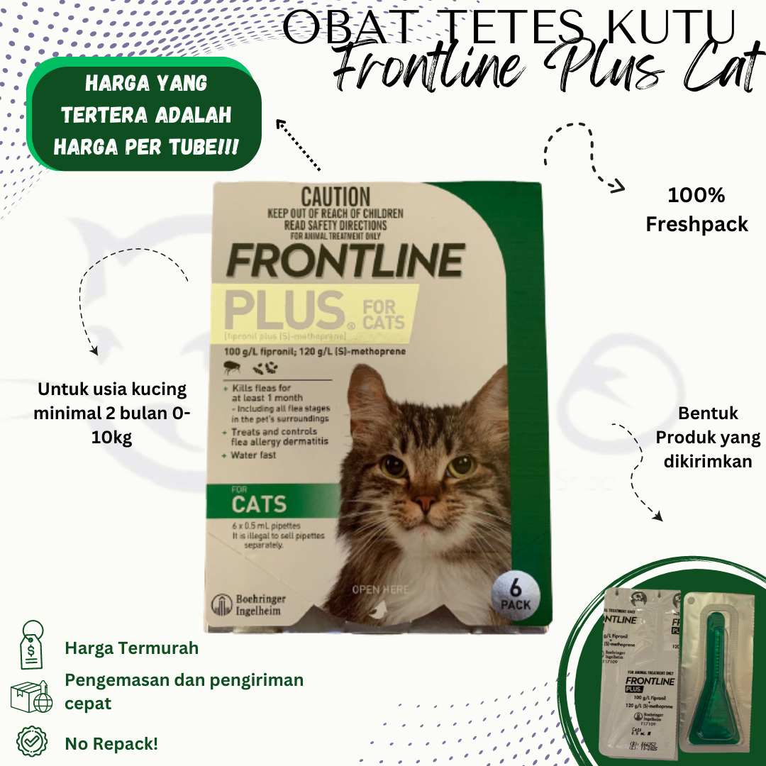 Harga Nexgard Kutu Kucing Terbaru Desember 2023 |BigGo Indonesia